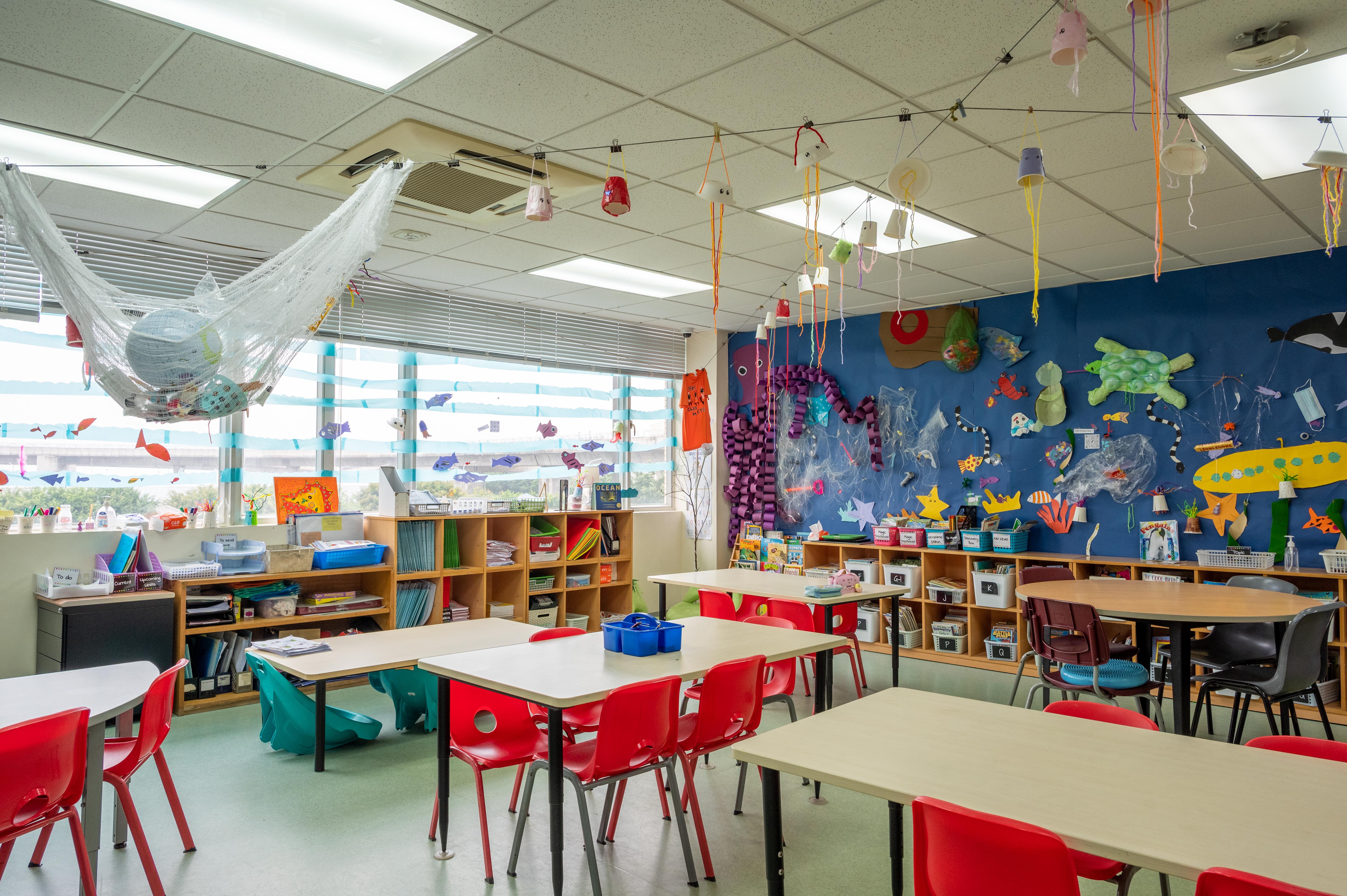 Underwater, Desert and Rainforest... Grade 3 Classrooms are Looking ...